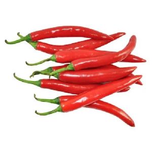 Red Raw King Chilli, INR 800INR 1,200 / Kilogram by Bendang Overseas ...