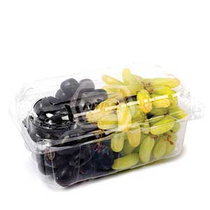 Plastic Punnets - Fruit Packaging Materials Price, Manufacturers ...