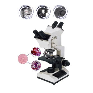 Multi Head Teaching Microscope at Best Price in Ambala | Radical ...