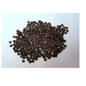 Ambrette Seed at Best Price in Kolkata | Om Impex India