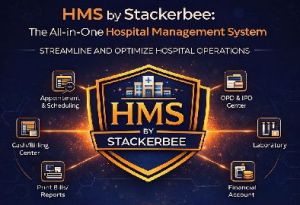 STACKERBEE TECHNOLOGIES PRIVATE LIMITED in Delhi - Service Provider of ...
