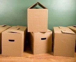 Carton Packaging Box, Shape : Rectangular at Best Price in Greater ...