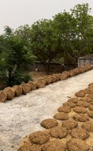 Cow dung exports in Bahadurgarh - Manufacturer of Cow Dung
