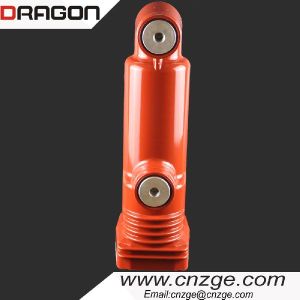 Wenzhou Zheguang Electronic Co.Ltd in Wenzhou - Supplier of 35KV Vacuum ...